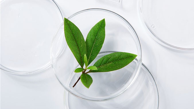 Neossance Squalane 天然角鲨烷 – MIT保養代工｜台灣險峰生物